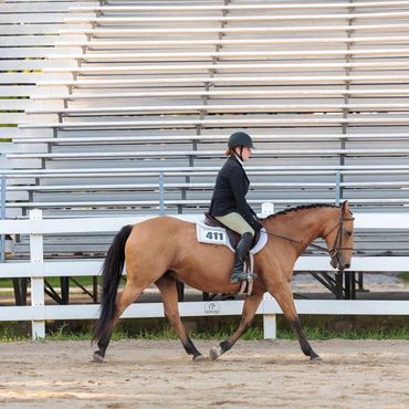 Gallery | Boulder Brook Stables